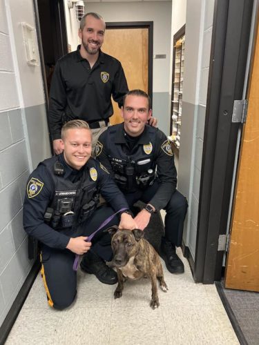 Red Bank Green - Serving Red Bank and Greater Red Bank, NJ